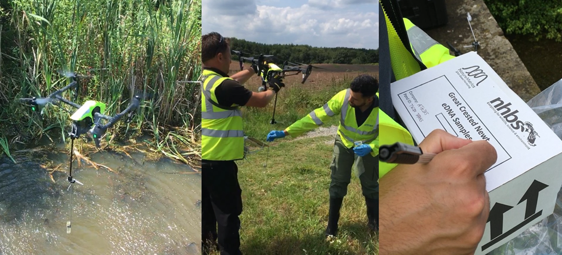 Restoration and Biodiversity - Crown Farm