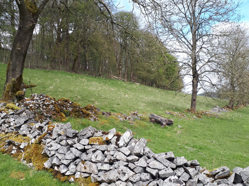 Hillhead | Film Locations