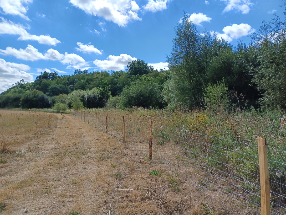 Timber from local woodland receives special tree-tment to create new ...
