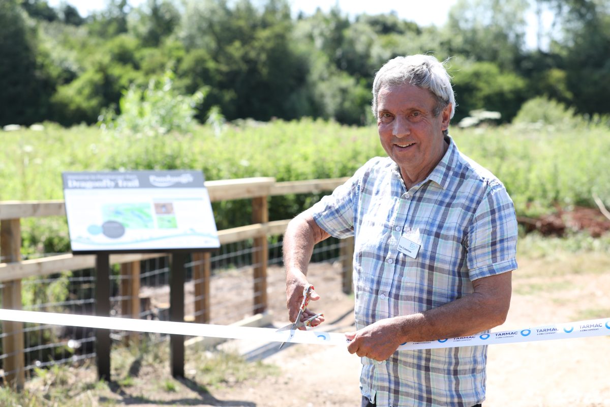 Dragonfly experts put Panshanger Park on the map | Panshanger Park