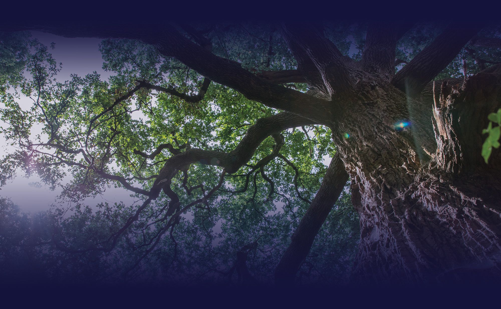 Your Visit - Panshanger Park Website