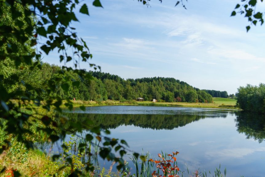 Crown Farm Quarry commended for putting nature at the forefront of ...