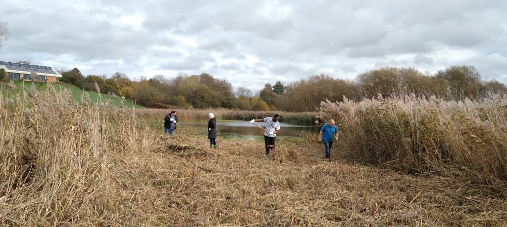 Tarmac team enjoys volunteering day at RSPB Sandwell Valley - Tarmac