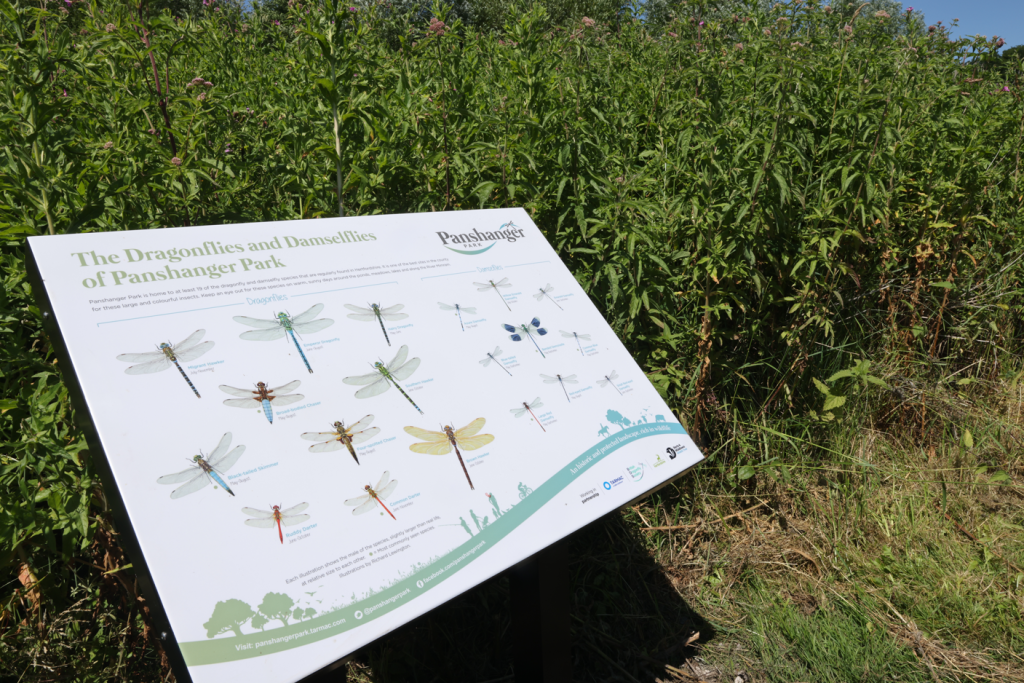 Dragonfly experts put Tarmac’s Panshanger Park on the map - Tarmac