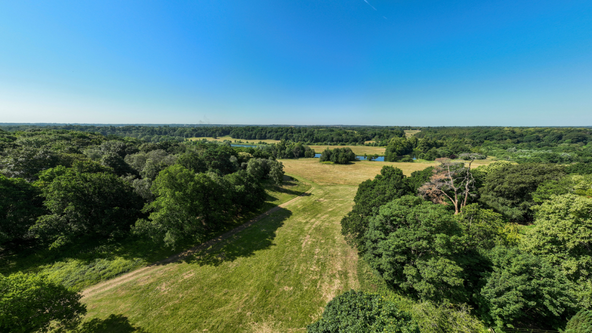 Ready for a close up: Tarmac’s Panshanger Park now on Instagram - Tarmac
