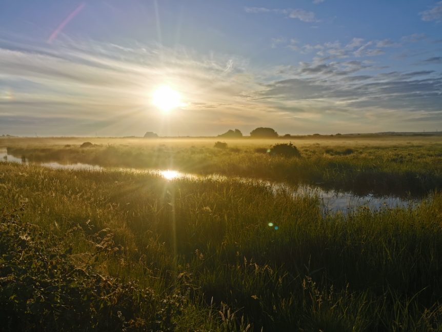 Tarmac gifts important nature reserve to local wildlife trust - Tarmac